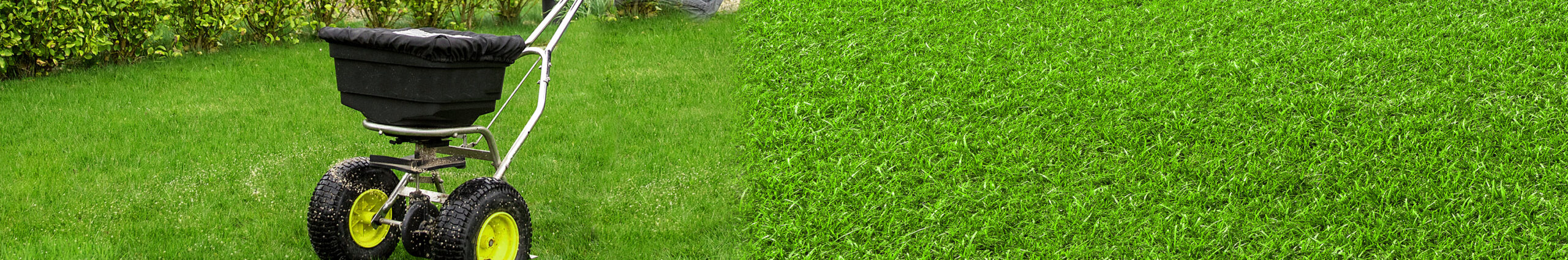 Fertilisant pour la pelouse - Experts Verts