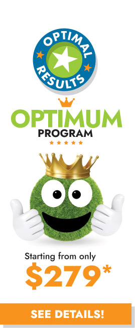 Our Programs - Experts Verts